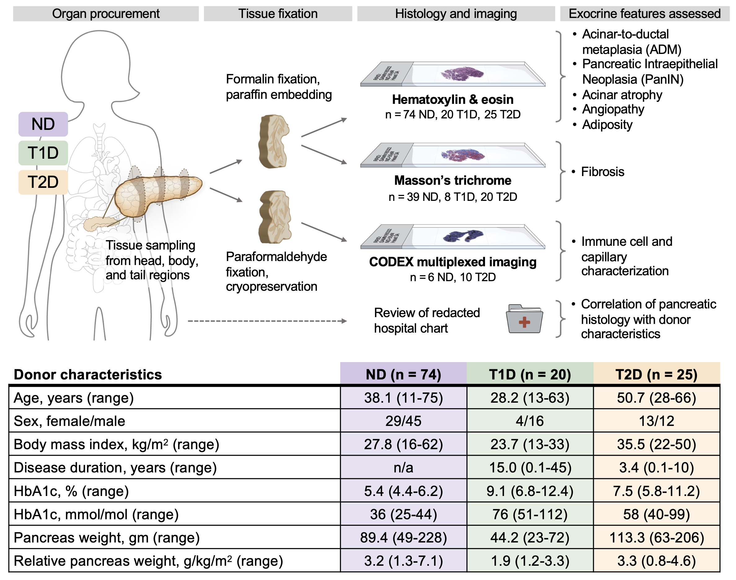 Pancreatlas